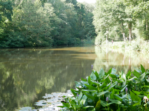 Stillwaters - Exeter & District Angling Association