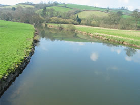 River Creedy & Exe - Exeter & District Angling Association