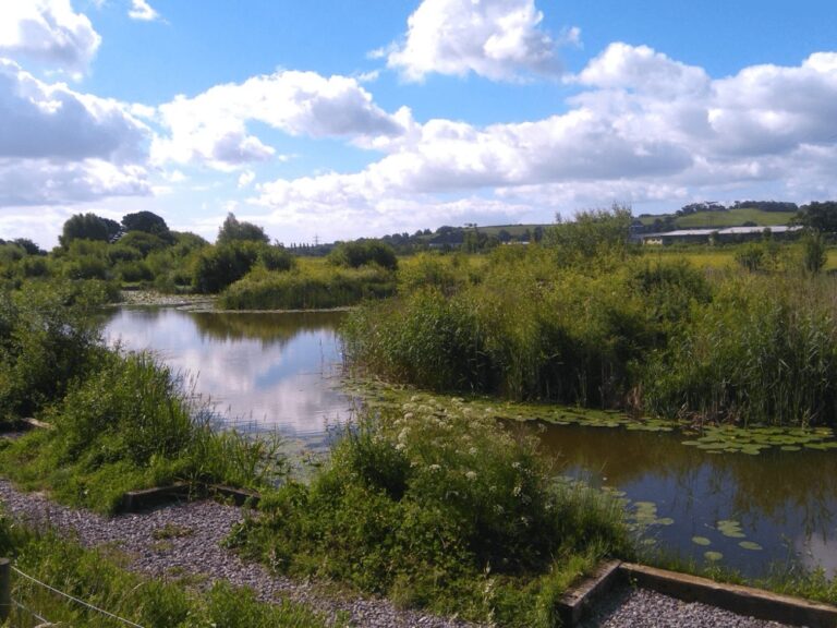 Match at Harpers! - Exeter & District Angling Association
